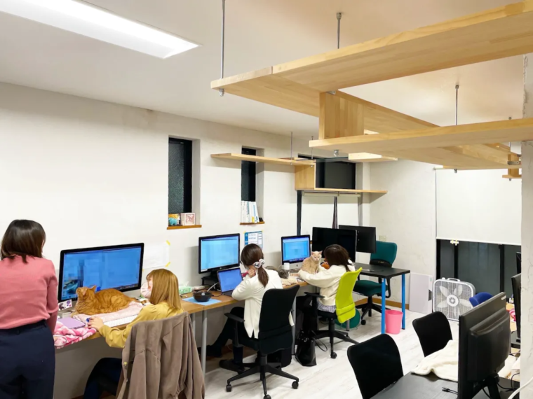 How Can Humans and Cats Co-Exist in the Office? - WORK MILL ENGLISH